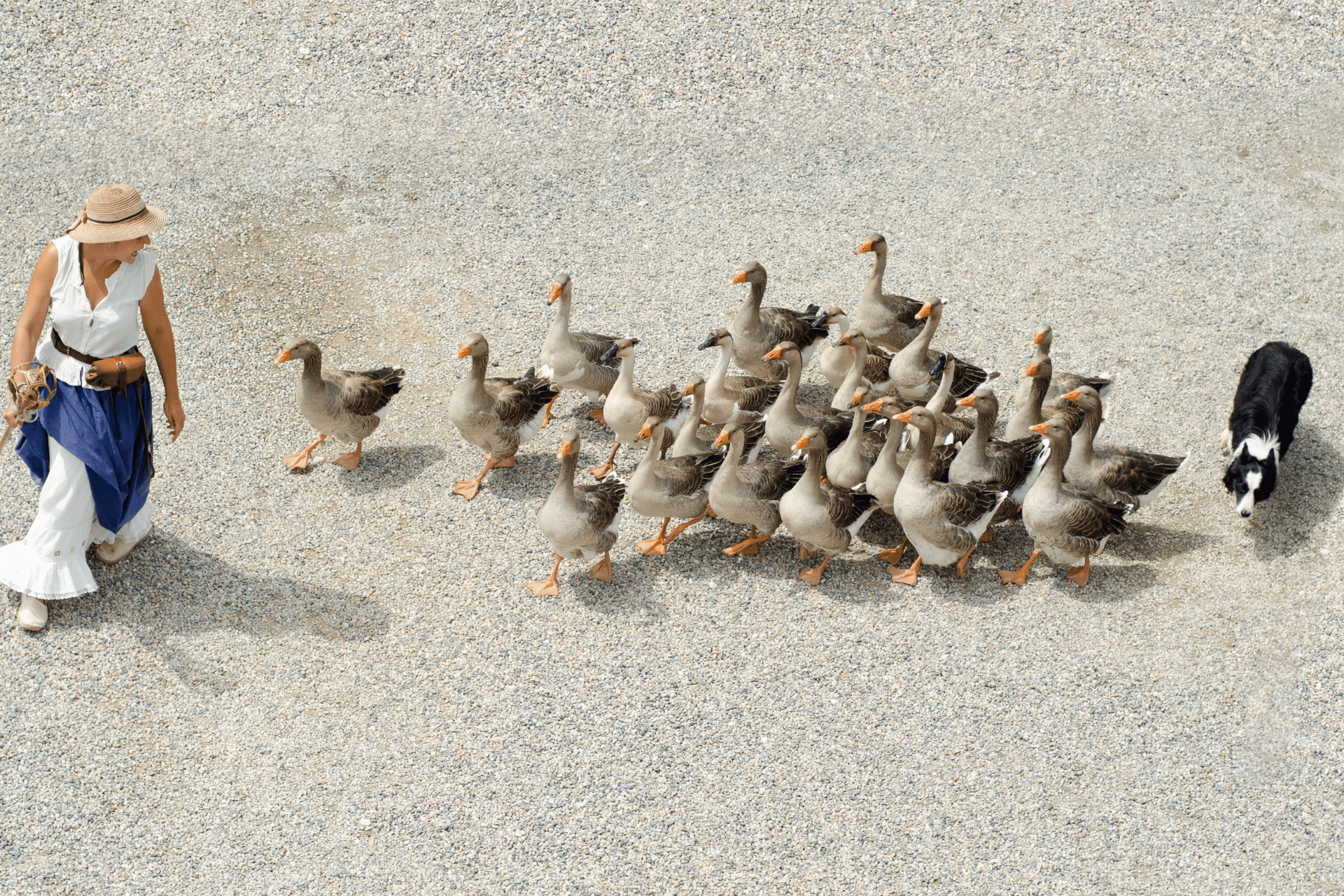 How Leaders, Followers & Power Work Together (or Not!)